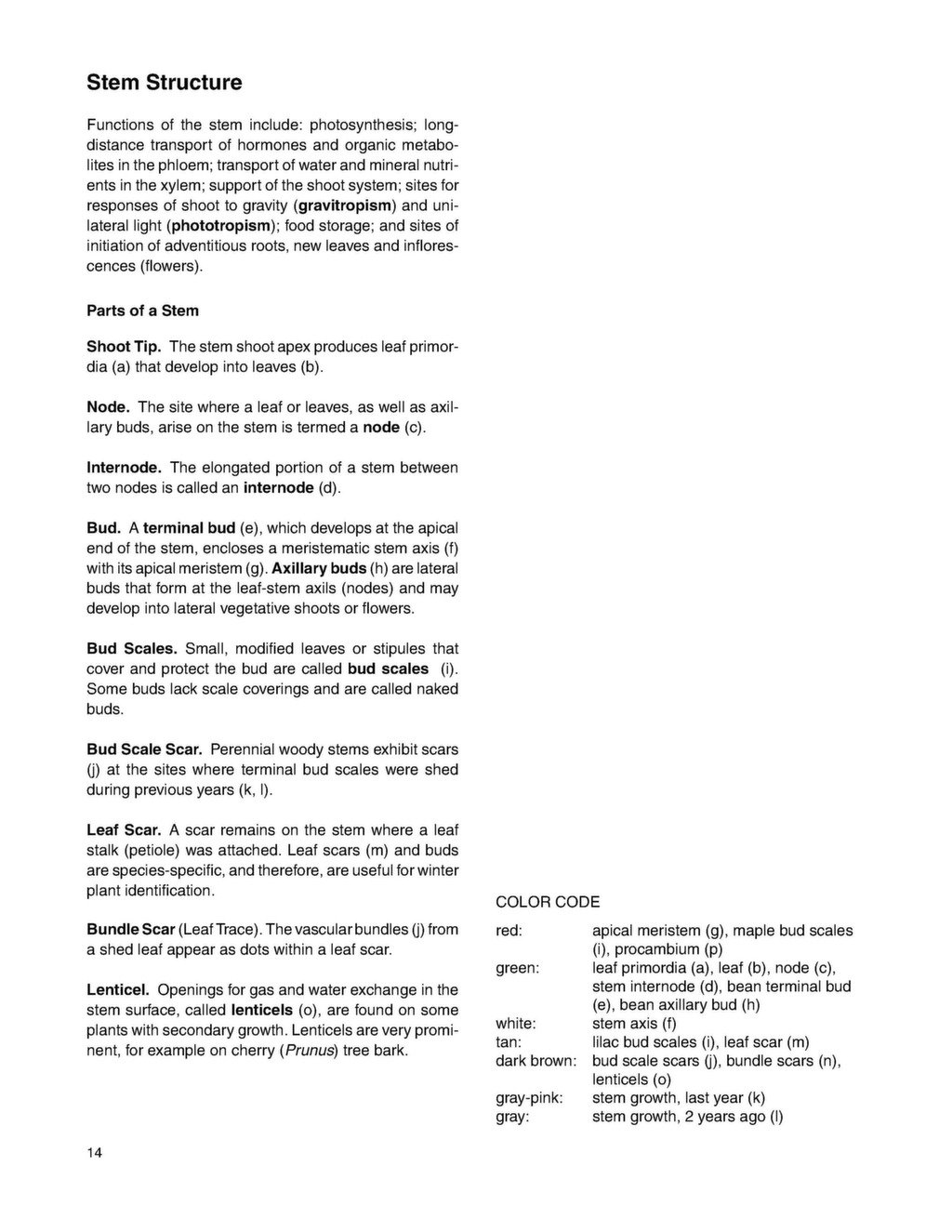 Botany Illustrated: Introduction to Plants, Major Groups, Flowering ...