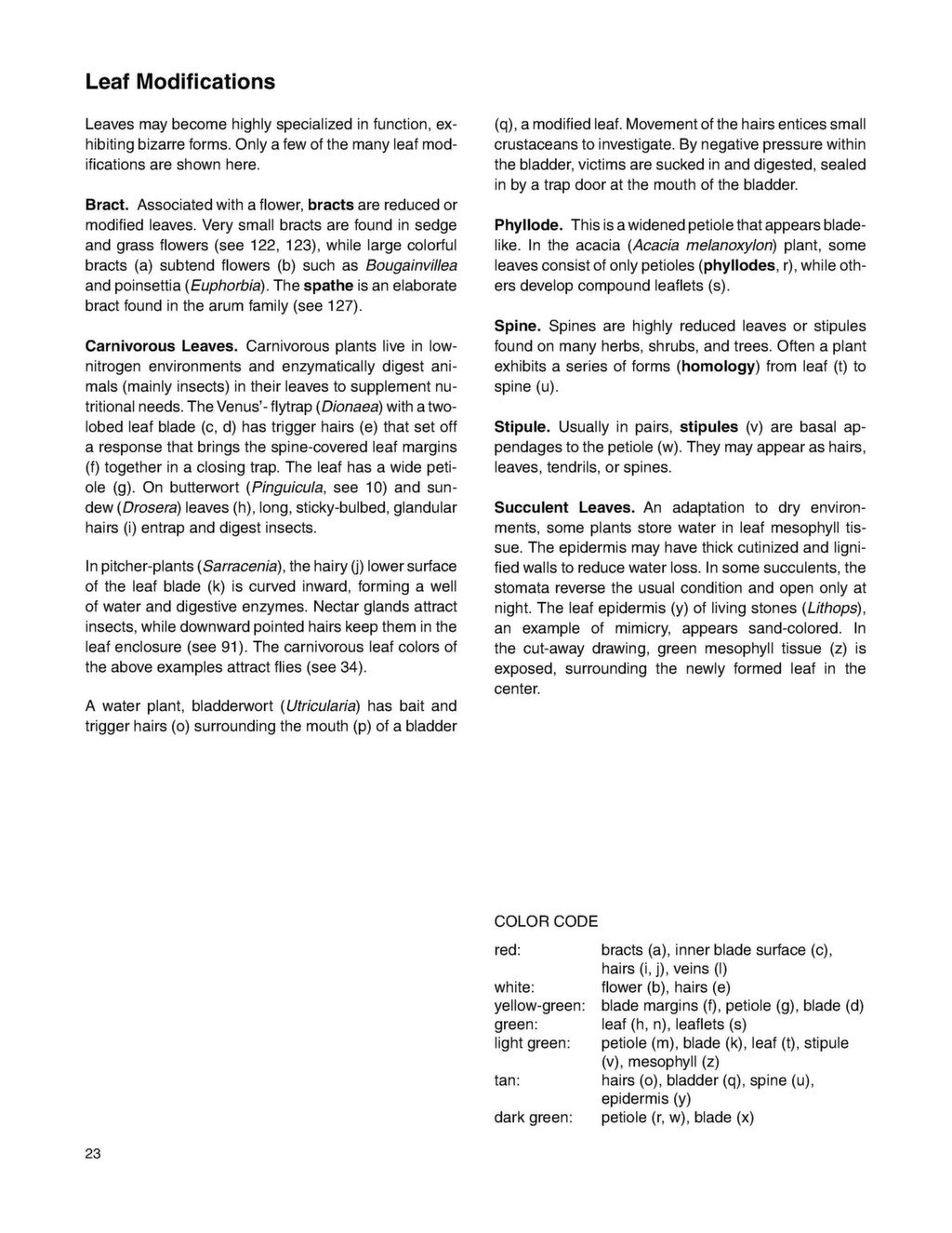 Botany Illustrated: Introduction to Plants, Major Groups, Flowering ...